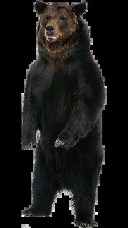 عکس های Png رایگان قلب های رنگارنگ متنوع بدون پس زمینه