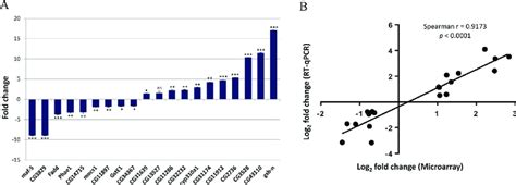 Validation Of Microarray Data By Qrt Pcr Analysis A Qrt Pcr Download Scientific Diagram