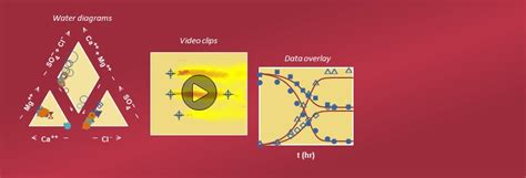 The Geochemists Workbench®