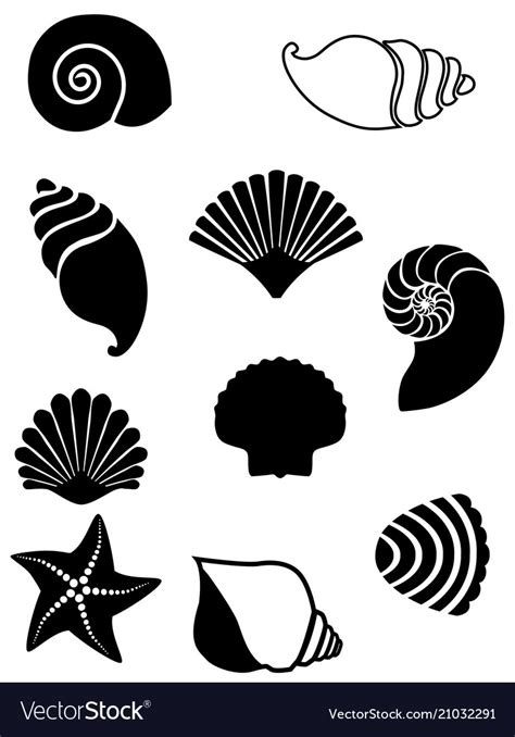 Set Shells Royalty Free Vector Image Vectorstock