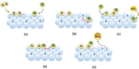 Schematics Of Surface Reactions A Adsorption B Diffusion C E R Download Scientific