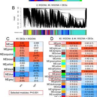 Identification Of Gene Modules Associated With Sex Gene Hierarchical Download Scientific