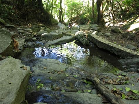 Pozo De La Quebrada Quintero En El Parque Nacioanal Guaraira Repano Caracas Venezuela Parques