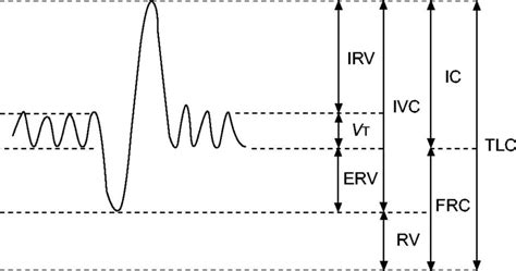 Lung Volumes And Capacities Mnemonic Epomedicine