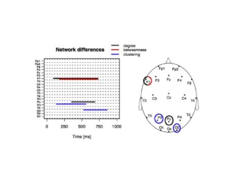 Biological Motion Coding In The Brain Extracting Local Properties From