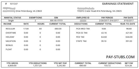 White Color Detailed Pay Stub Pay Stubs Pay