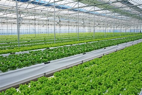 충남도 스마트팜 신축 청년에 최대 3억 지원 뉴스프리존 충남도 스마트팜 신축 청년에 최대 3억 지원 뉴스프리존