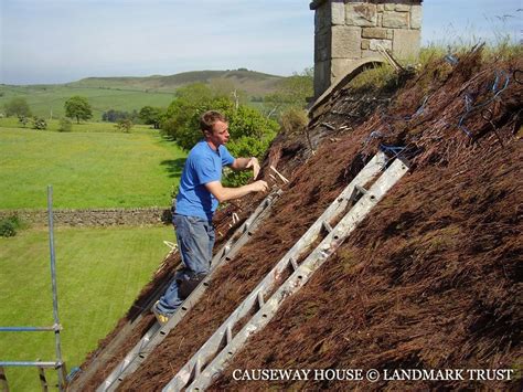 Less Well Known Thatching Materials Thatch Advice Centre
