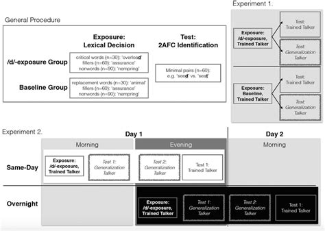 Schematic Of Testing Procedures For Experiments And Download Scientific Diagram