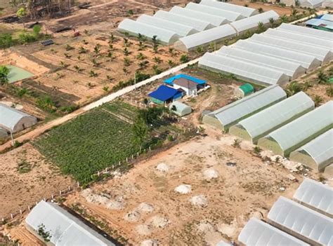 រាជរដ្ឋាភិបាលផ្តល់ផ្ទះសំណាញ់ ១០០ខ្នង ដល់កសិករជាសមាជិកនិងសហគមន៍កសិកម្មទំនើប«បន្លែផ្ទះសំណាញ់ត្រាំកក់