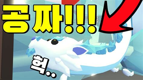 입양하세요 아이스용 무료로 얻는법ㄷㄷ 로블록스 Youtube