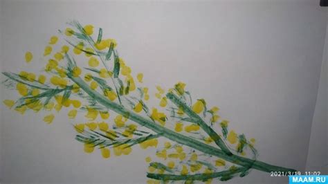 Рисование «Веточка мимозы в нетрадиционной технике во второй младшей группе 1 фото