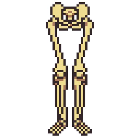 Overview Anatomy Of The Lower Limb 10