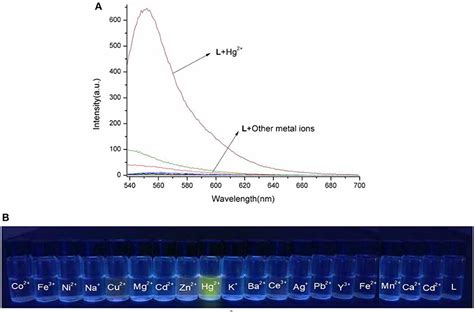 Frontiers A Fluorescent And Colorimetric Chemosensor For Hg2 Based On Rhodamine 6g With A Two