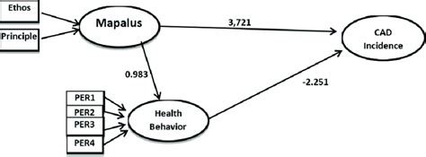 Structural Model Of Mapalus Relationships With Cad Incidence Download Scientific Diagram