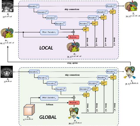 Aic Unet Anatomy Informed Cascaded Unet For Robust Multi Organ Segmentation Paper And Code