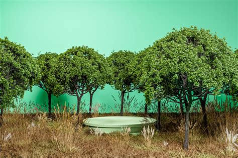 3d 렌더 플랫폼 및 열대 우림의 자연 연단 배경 및 제품 디스플레이를위한 건조 가스 필드 빈 쇼케이스 모의 템플릿 또는 빈 라운드 스테이지가있는 화장품 프리젠 테이션 0