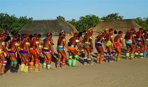 Why Is Xingu Named Xingu Xingu History Dzed