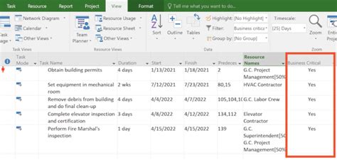 How To Mark Individual Tasks As Critical In Microsoft Project