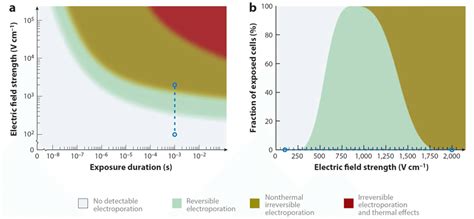 Electroporation And Thermal Effects Caused By Exposure Of Cells To