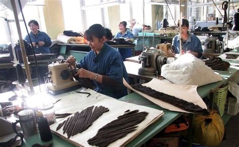 Жижиг дунд үйлдвэрийг хөгжүүлэх сангаас 79 8 тэрбум төгрөгийн зээл олгожээ