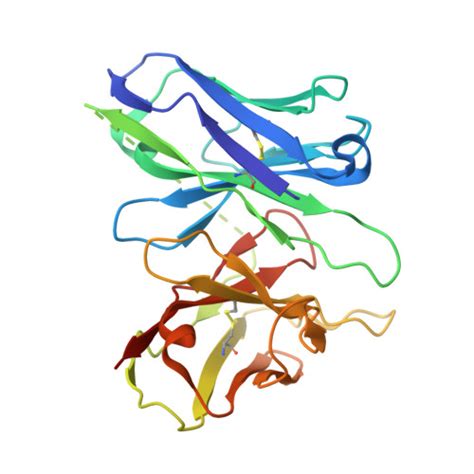 Rcsb Pdb 8wwk Mch Mchr1 Gi Complex T1 State