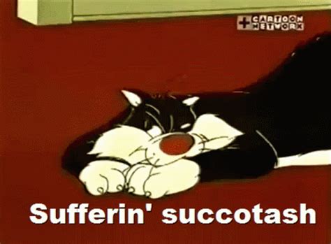 Sylvester Cat  Sylvester Cat Funny Discover And Share S