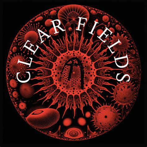 Clear Fields Youtube Music
