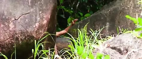 Josefine Preuss Nude Porn Videos And Sex Tapes Xhamster