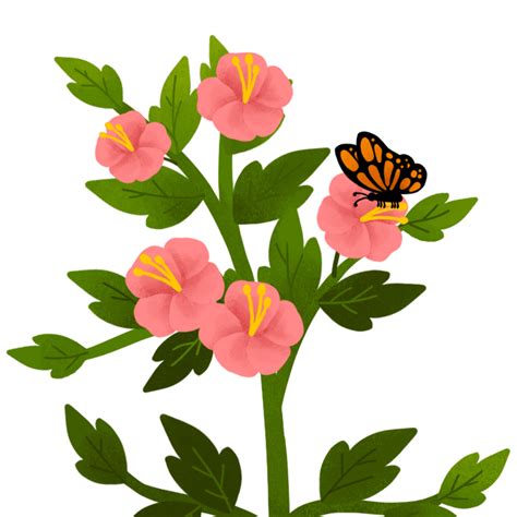 Kupu Kupu Merupakan Makhluk Hidup Karena