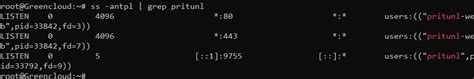 How To Install Pritunl VPN Server On Ubuntu 20 04 GreenCloud