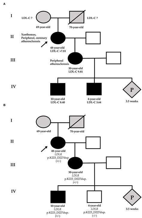 Phenotypic A And Genetic B Cascade Screening According To