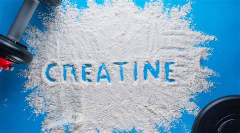 Creatine Loading Everything You Always Wanted To Know