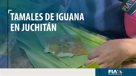 Live Así Preparan Los Tamales De Iguana En Juchitán Oaxaca Youtube