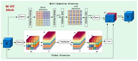 applied sciences free full text wild mushroom classification based on improved mobilevit