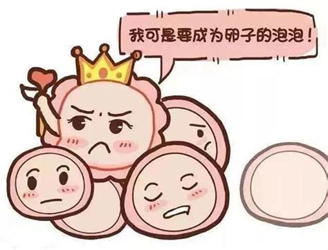 多囊卵巢卵子质量太差？想要卵泡长得好，这些工作少不了 知乎