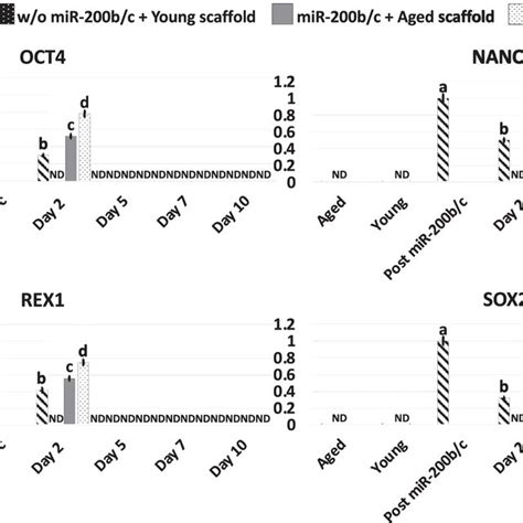 Gene Expression Levels Of Pluripotency Related Oct4 Nanog Rex1 Download Scientific Diagram