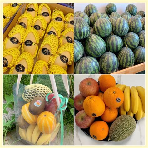 전주 과일가게 오색청과 혁신점 신선한 과일 선물 네이버 블로그