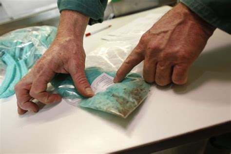 Campylobacter Contamination In Broiler Meat Poultry World