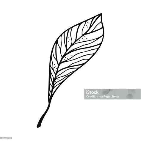 손으로 그린 나무 잎 나뭇 가지 흰색 고립 된 배경에 꽃 요소 낙서 간단한 개요 그림 그것은 직물 종이 및 기타 표면의 장식에