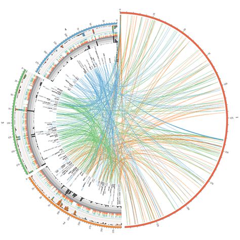 Circos Tutorials Quick Start Text Circos Circular Genome Data Visualization