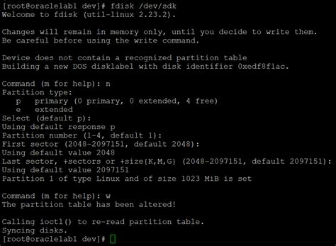 creating oracle 19c asm disks on linux server