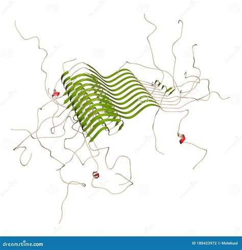 Alpha Synuclein Fibril Structure Determined By Solid State Nmr Thought To Play A Role In