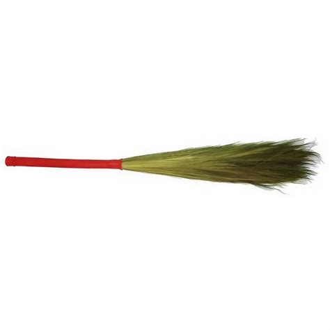 Broom Grass Grass Broom Latest Price Manufacturers And Suppliers