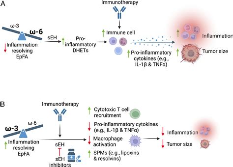 Cooling Inflammation While Potentiating Immune Checkpoint Inhibition