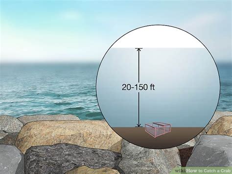 How To Catch A Crab Fishing Trapping More