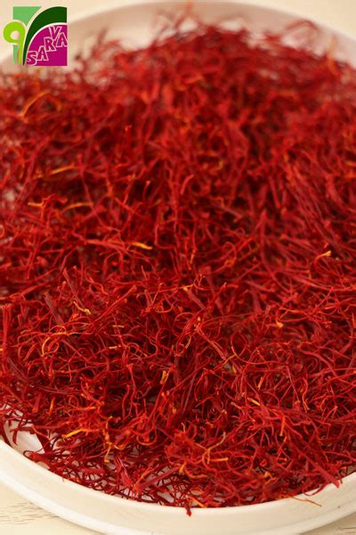 Pushal We Are Sarva Food