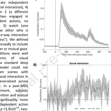 Image Identity And Social Interaction Decoding From Meg Signals In