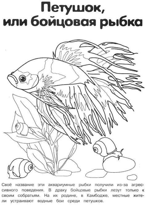 Раскраски раскраски животных Раскраска без регистарции раскраски животных Печатать раскарску