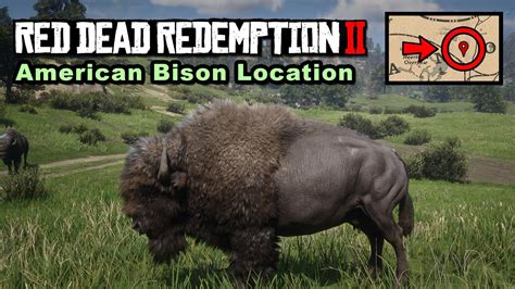 American Bison Location Red Dead Redemption 2 Youtube